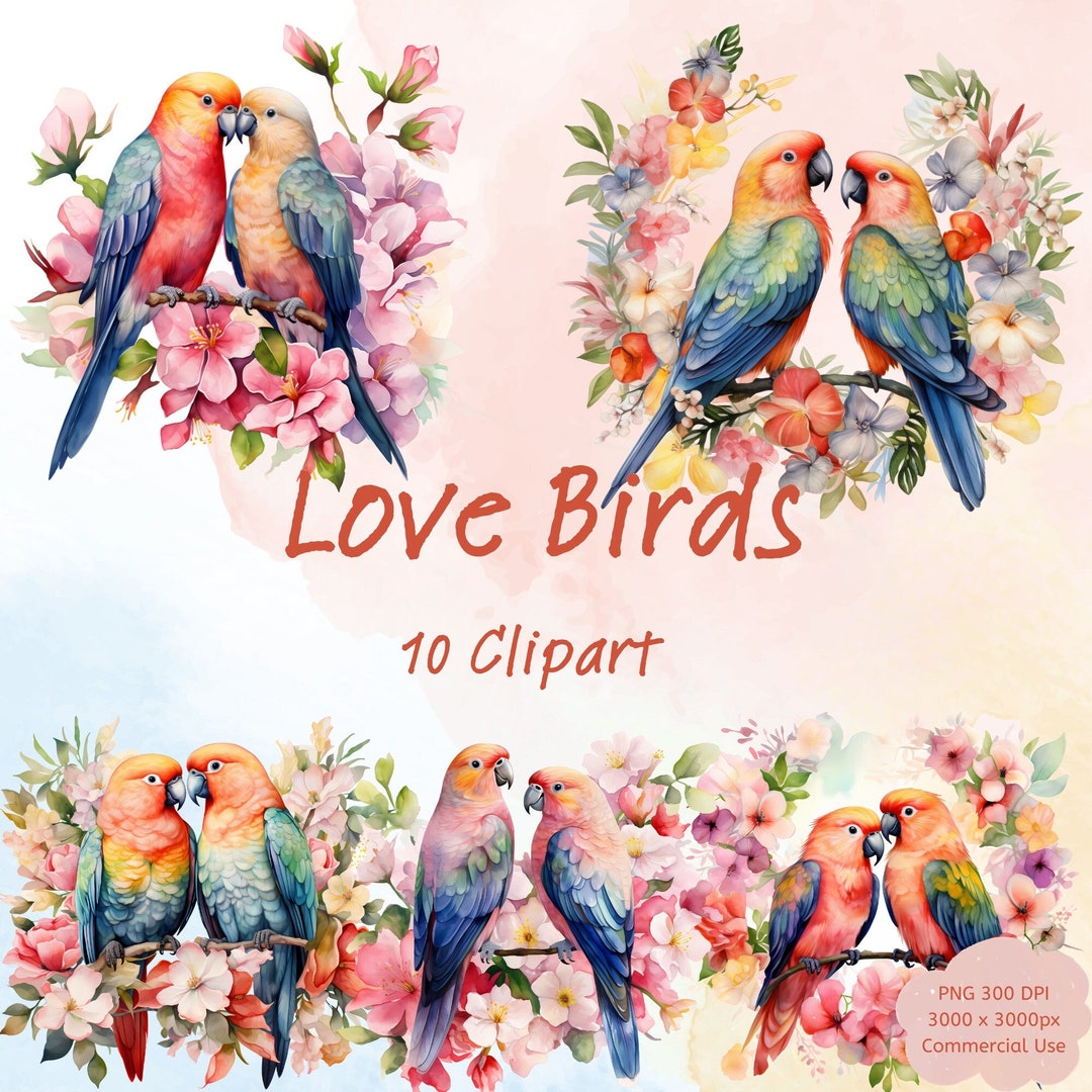 Lovebirds Watercolor Clipart, Valentines Clipart, Bird Clipart ...