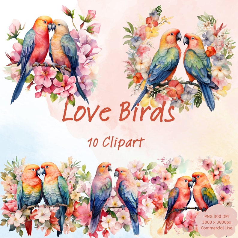Lovebirds Watercolor Clipart, Valentines Clipart, Bird Clipart ...