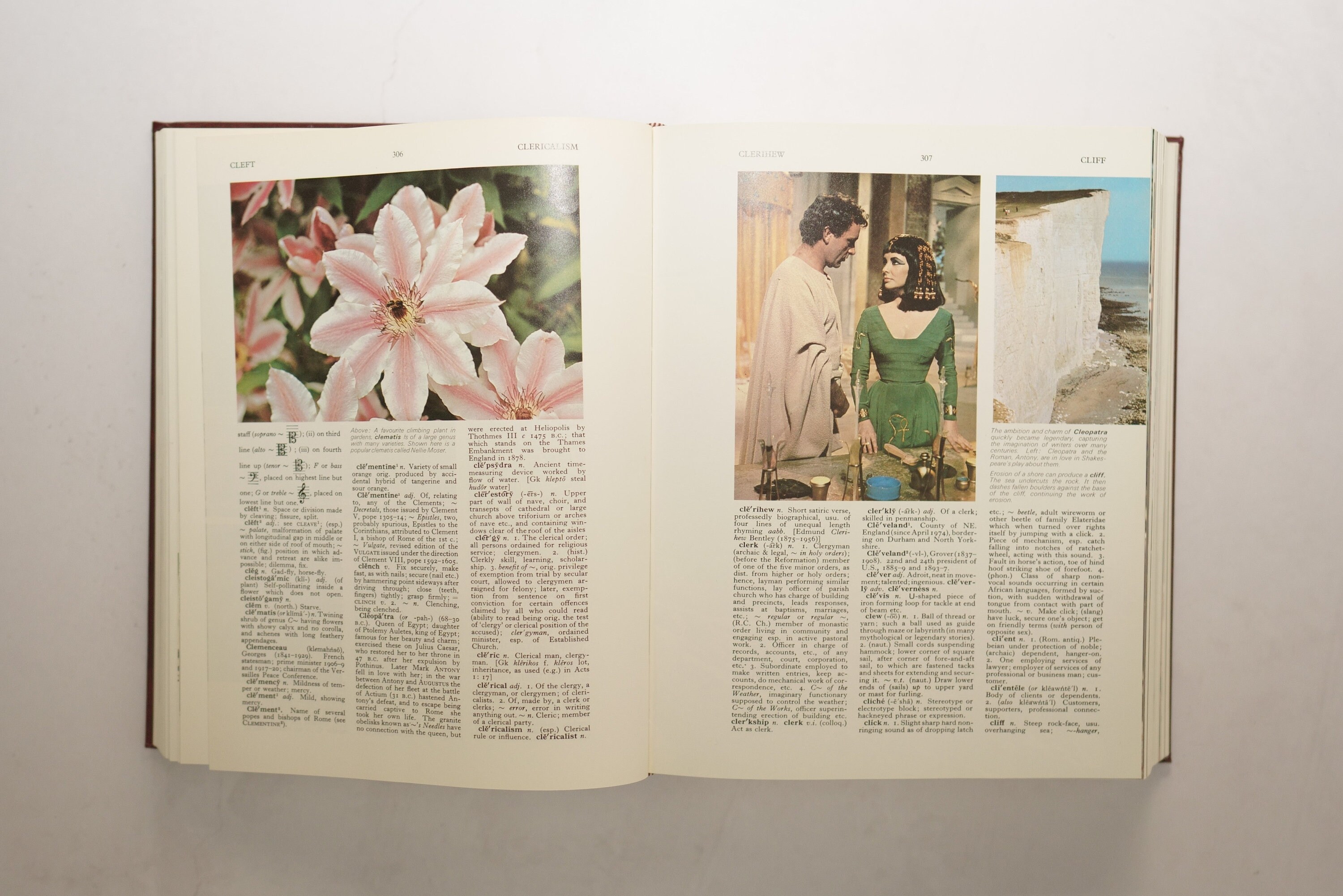 Oxford Illustrated Dictionaries Volume One & Two 0020 - Etsy