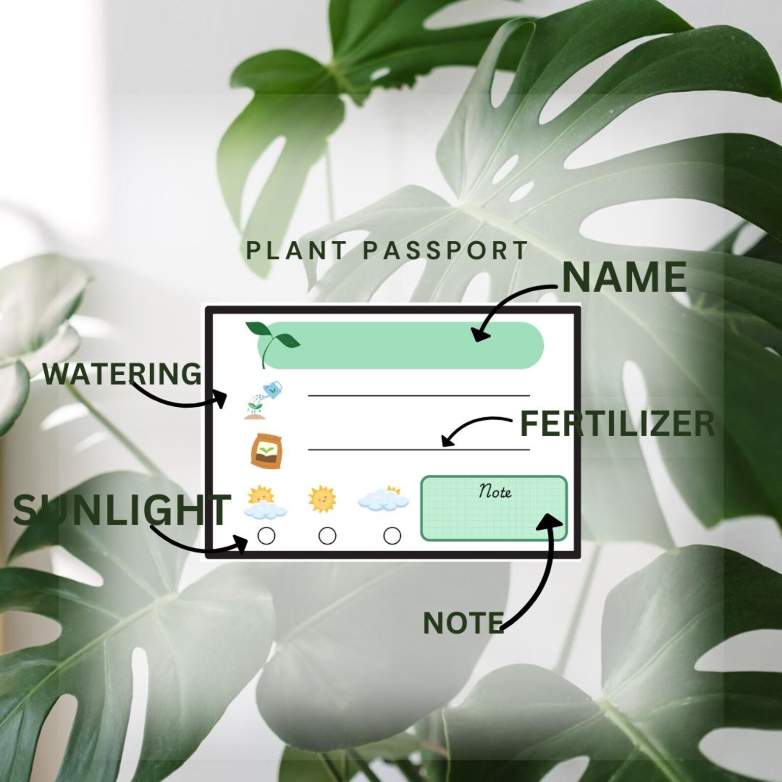 Plant Care Labels - Printable Houseplant Passport | Digital Download ...