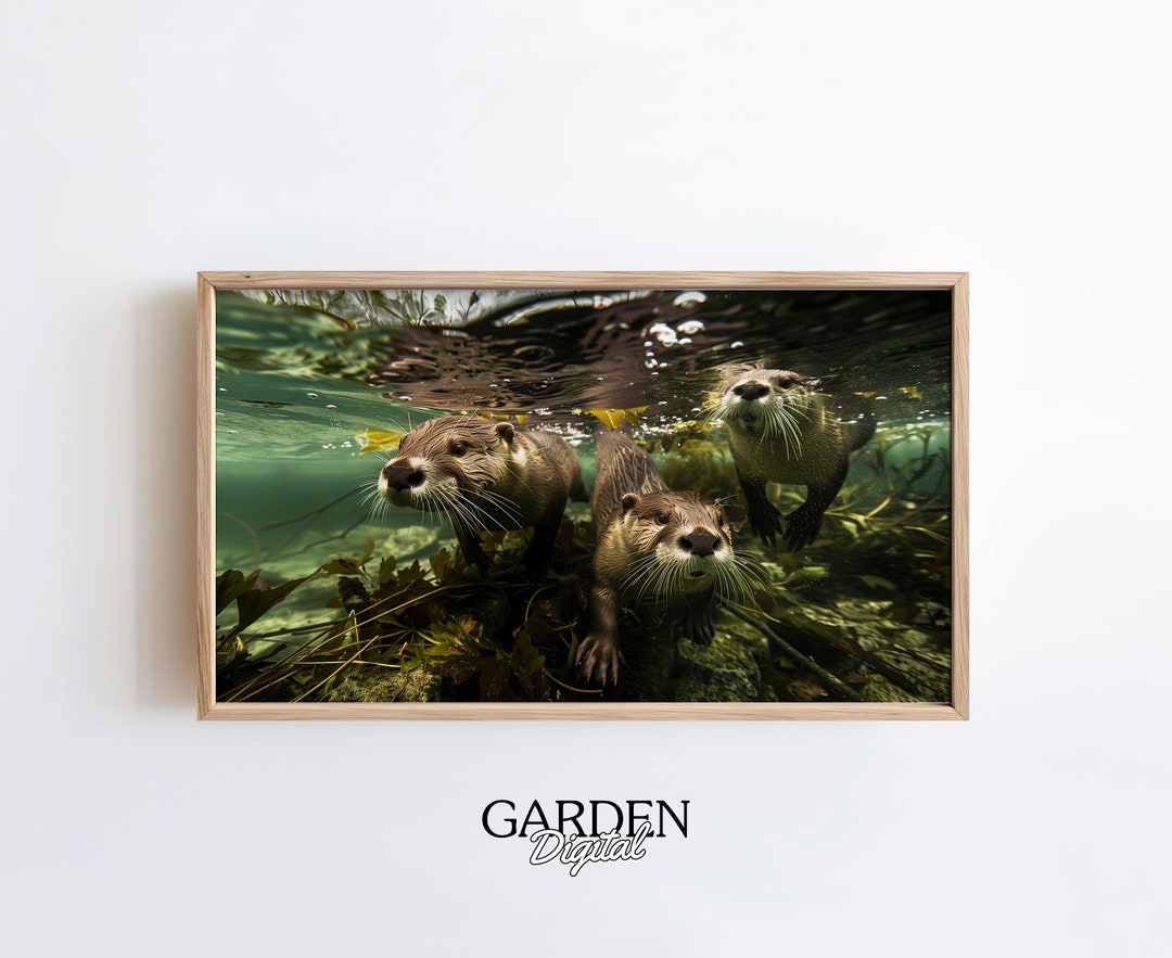 Otters Frame TV | Cute Otter Photo | Otter Digital Art for TV ...