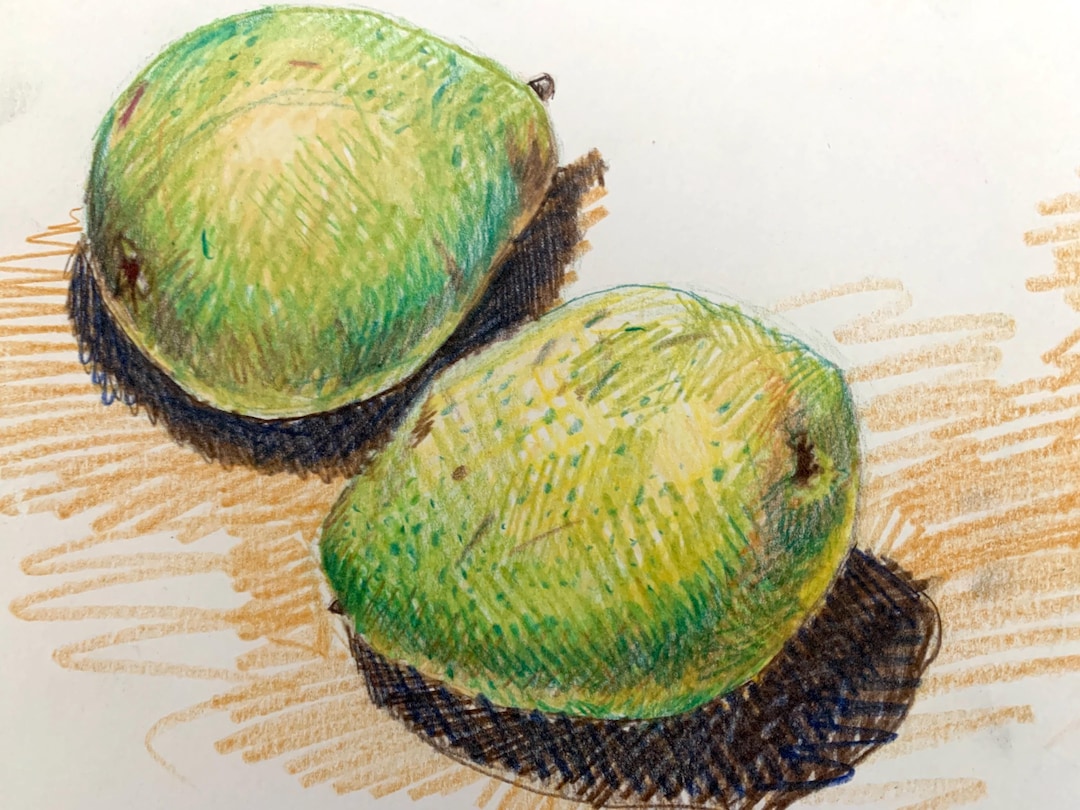 Pear Still Life Colored Pencil Sketch 12 X 9, Realism Impressionism ...