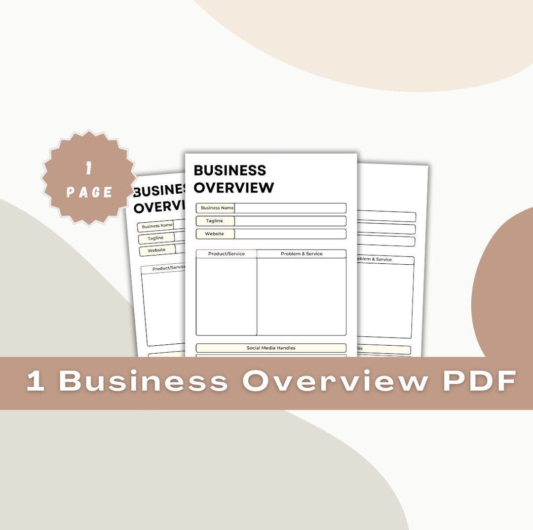 Digital Download BUSINESS OVERVIEW TEMPLATES in Pdf Format Good Notes ...