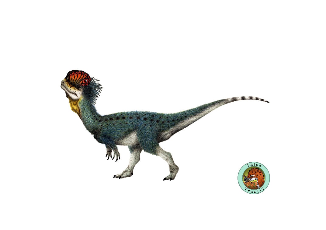 Dilophosaurus Unique Dinosaur Mounted Pencil Sketch Print - Etsy