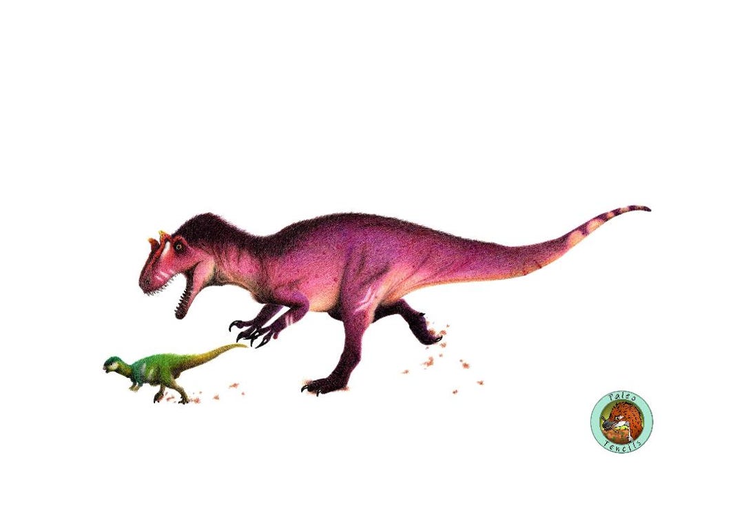 Allosaurus Unique Dinosaur Mounted Pencil Sketch Print - Etsy