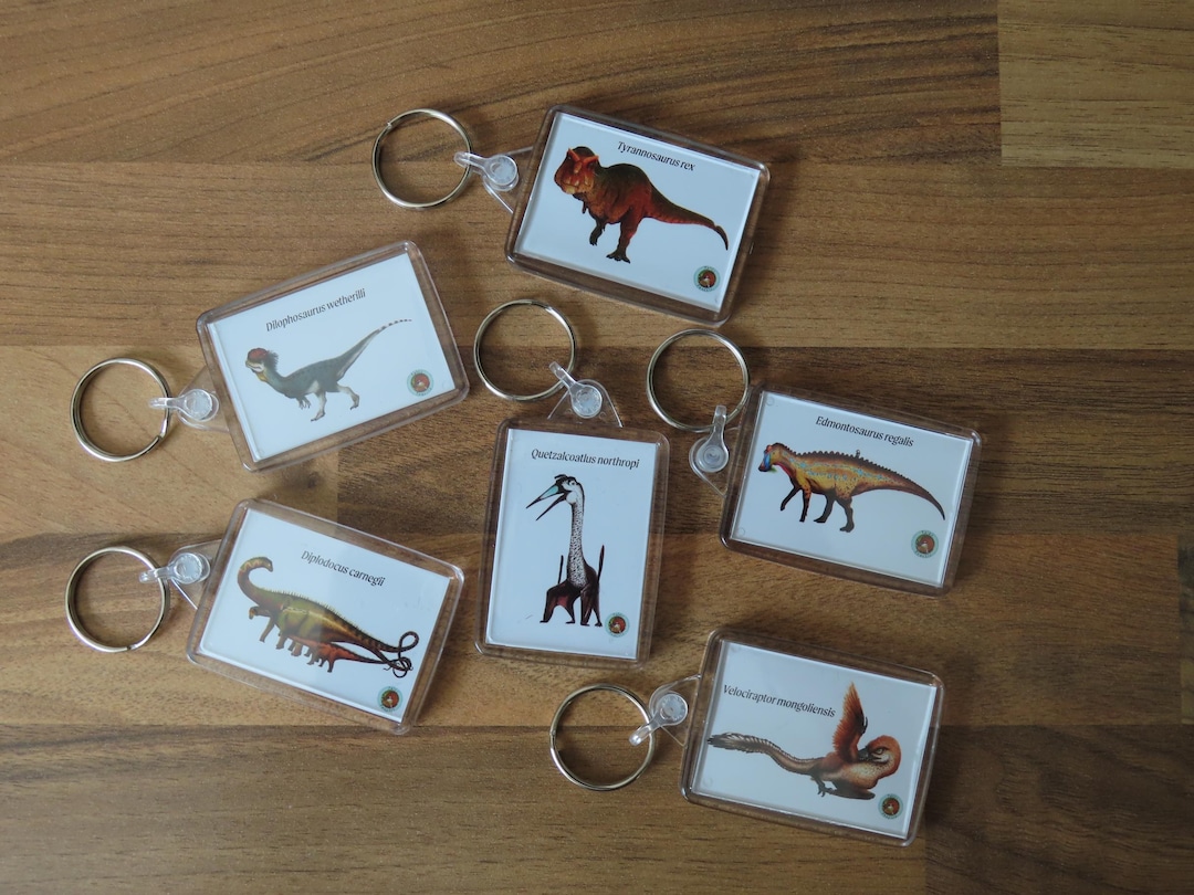 Dinosaur Acrylic Key Rings With Unique Sketch Print Design - Etsy