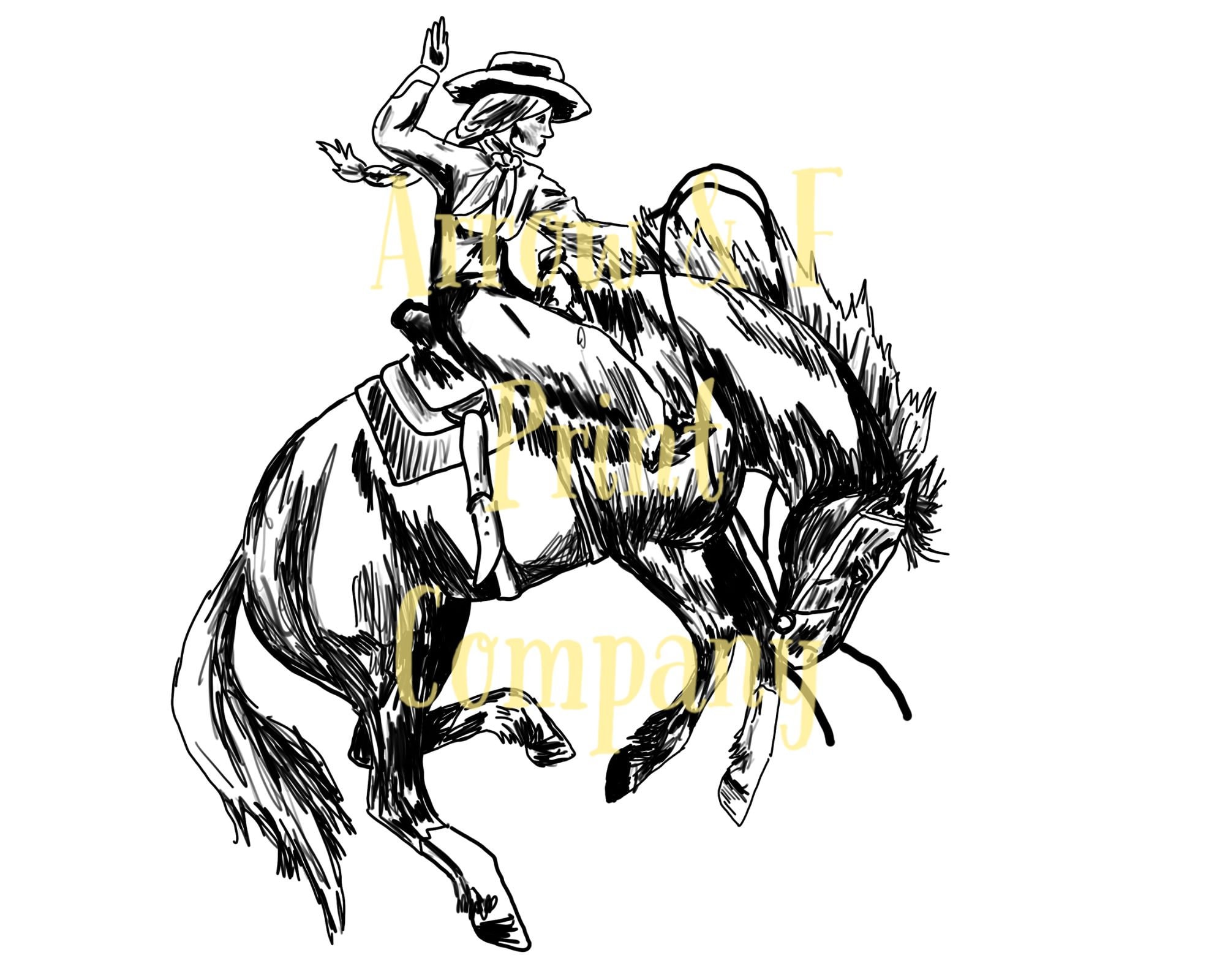 Bronc Riding Cowgirl Sketch PNG| Western Shirt Design | Commercial Use ...