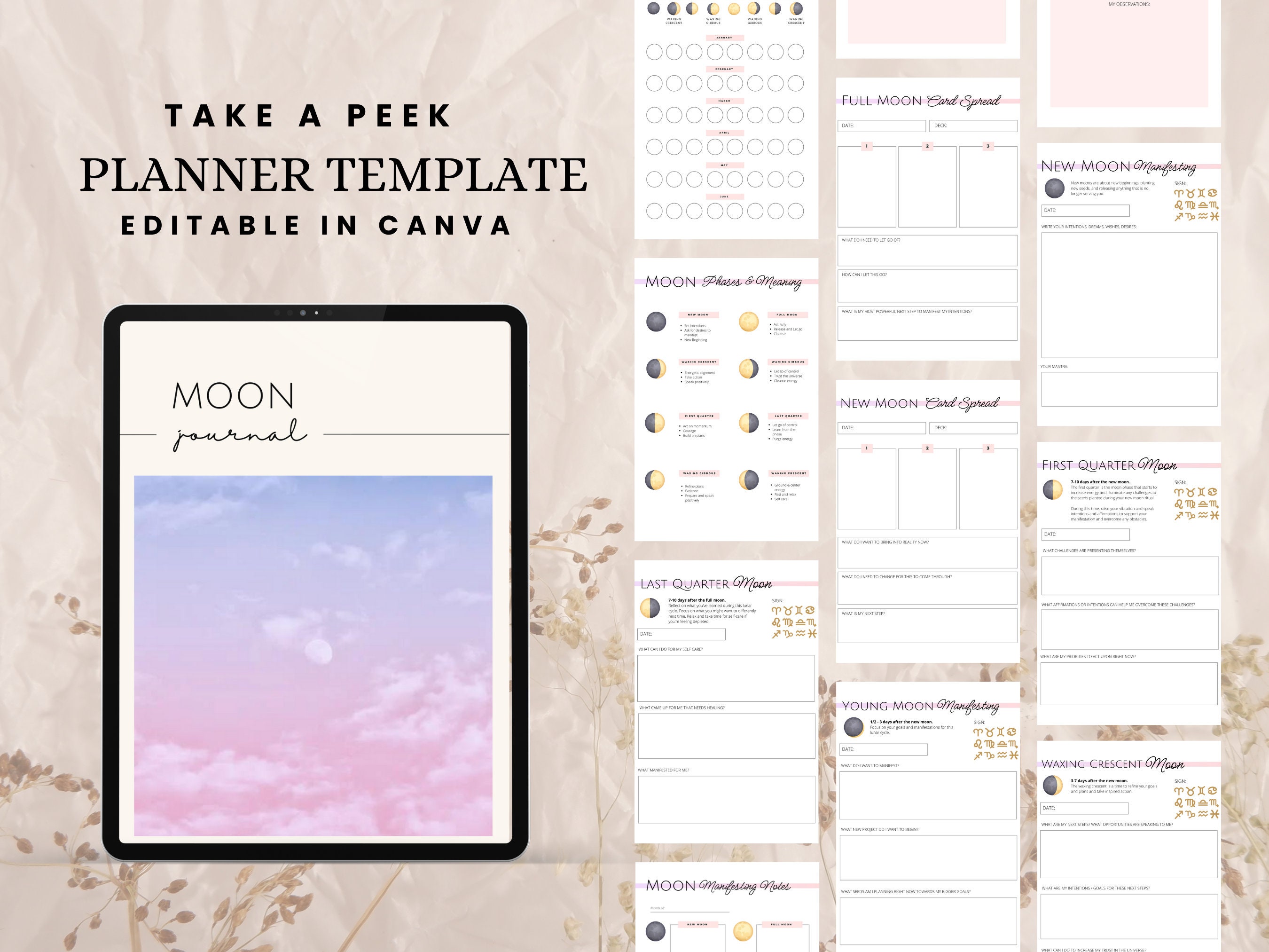 PLR Moon Journal Planner, PLR Planner, Moon Calendar, Done for You ...