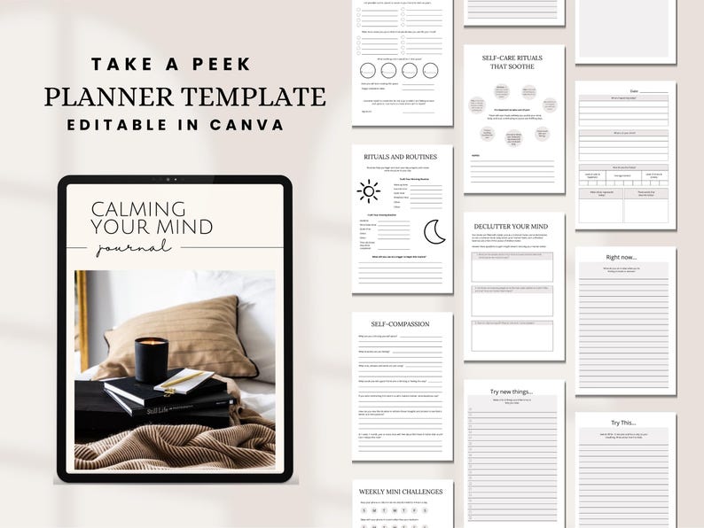 PLR MRR Planner Calm Your Mind Workbook Template Daily Life Goal to Do ...