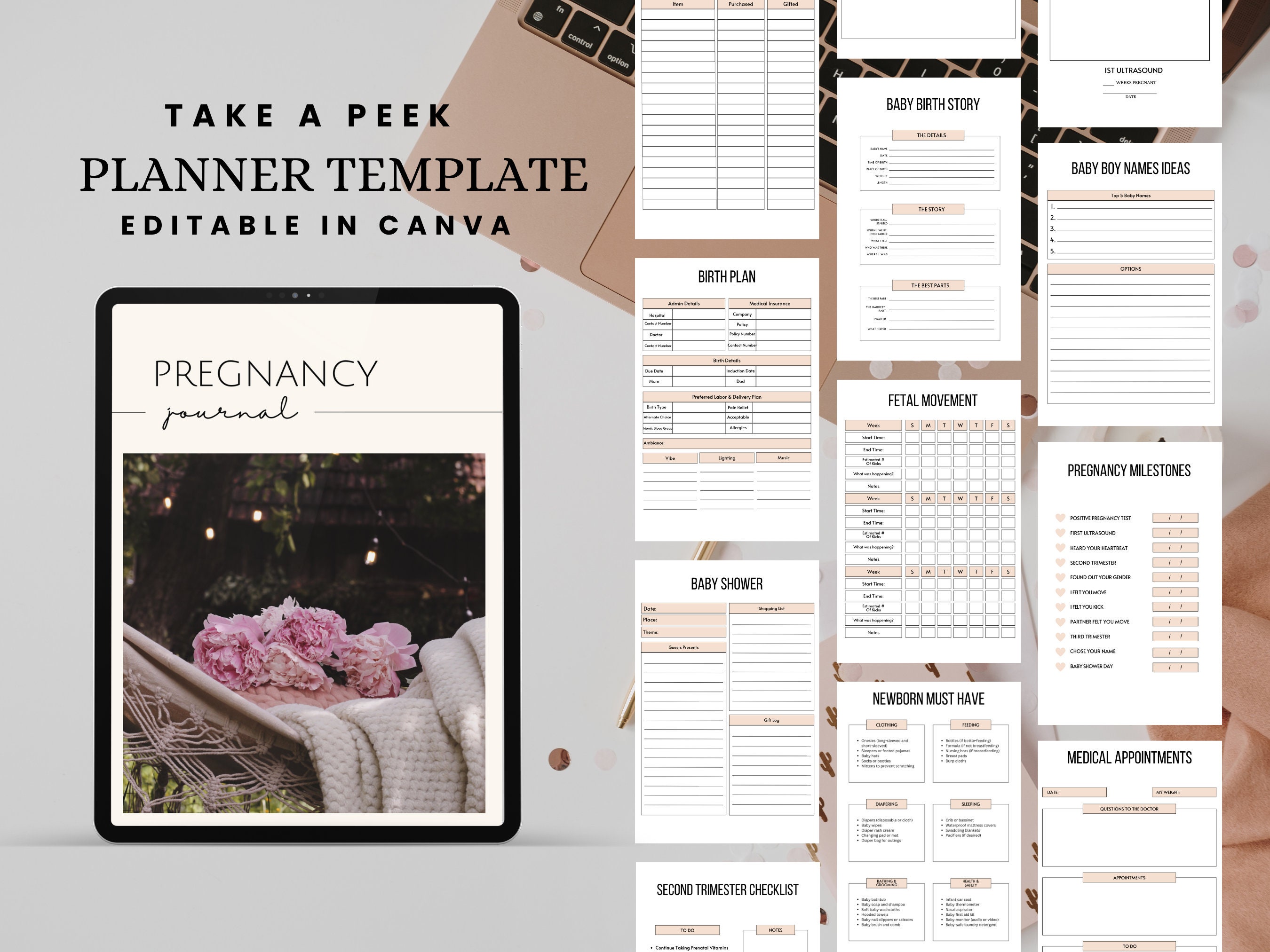 PLR Planner Pregnancy Journal Tracker Checklist Done for You Canva ...