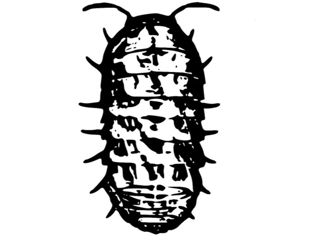 Isopod Instant Download SVG, Digital Download - Etsy