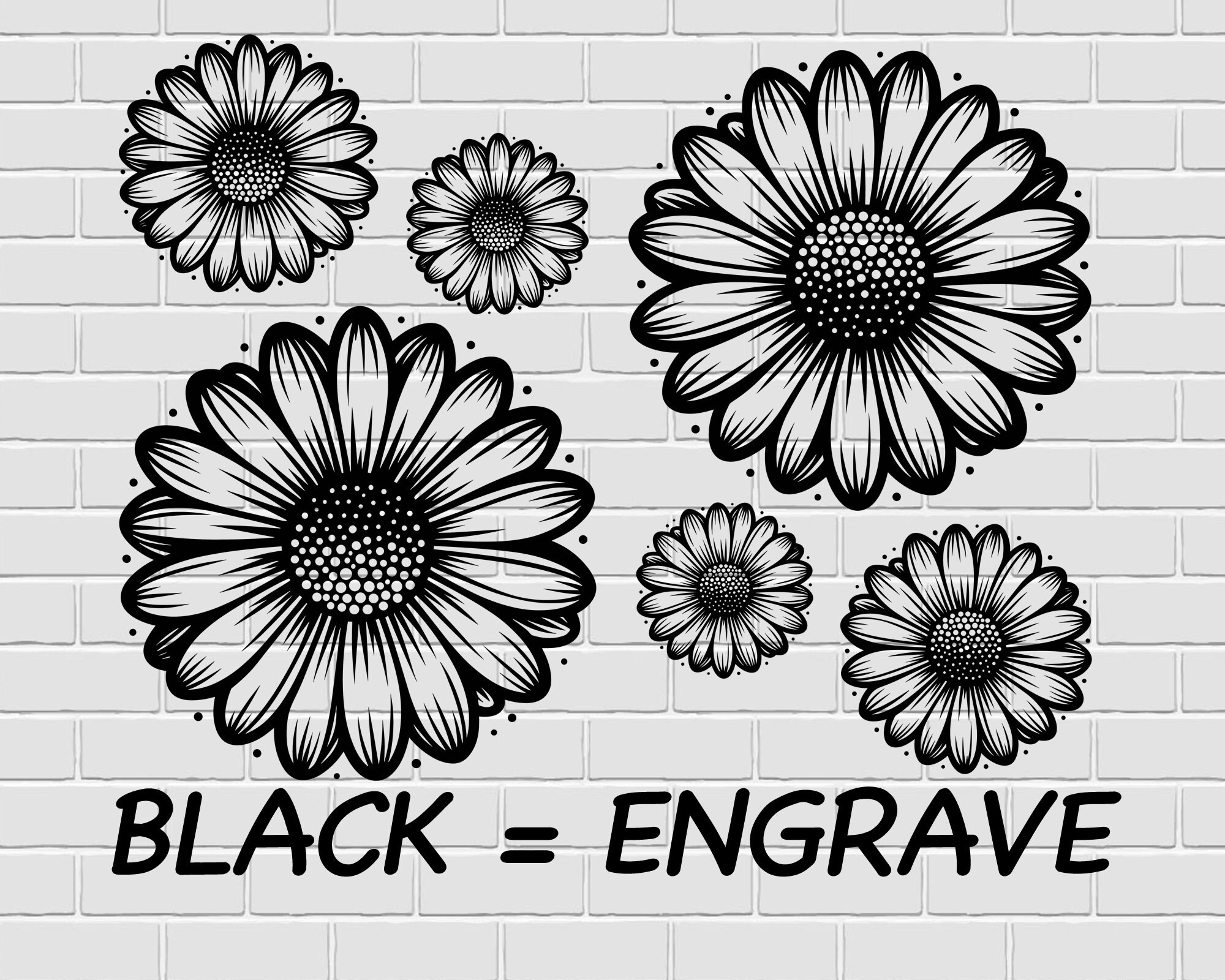 Daisies 40oz Tumbler SVG, Floral 40oz Tumbler Laser File, Daisy ...