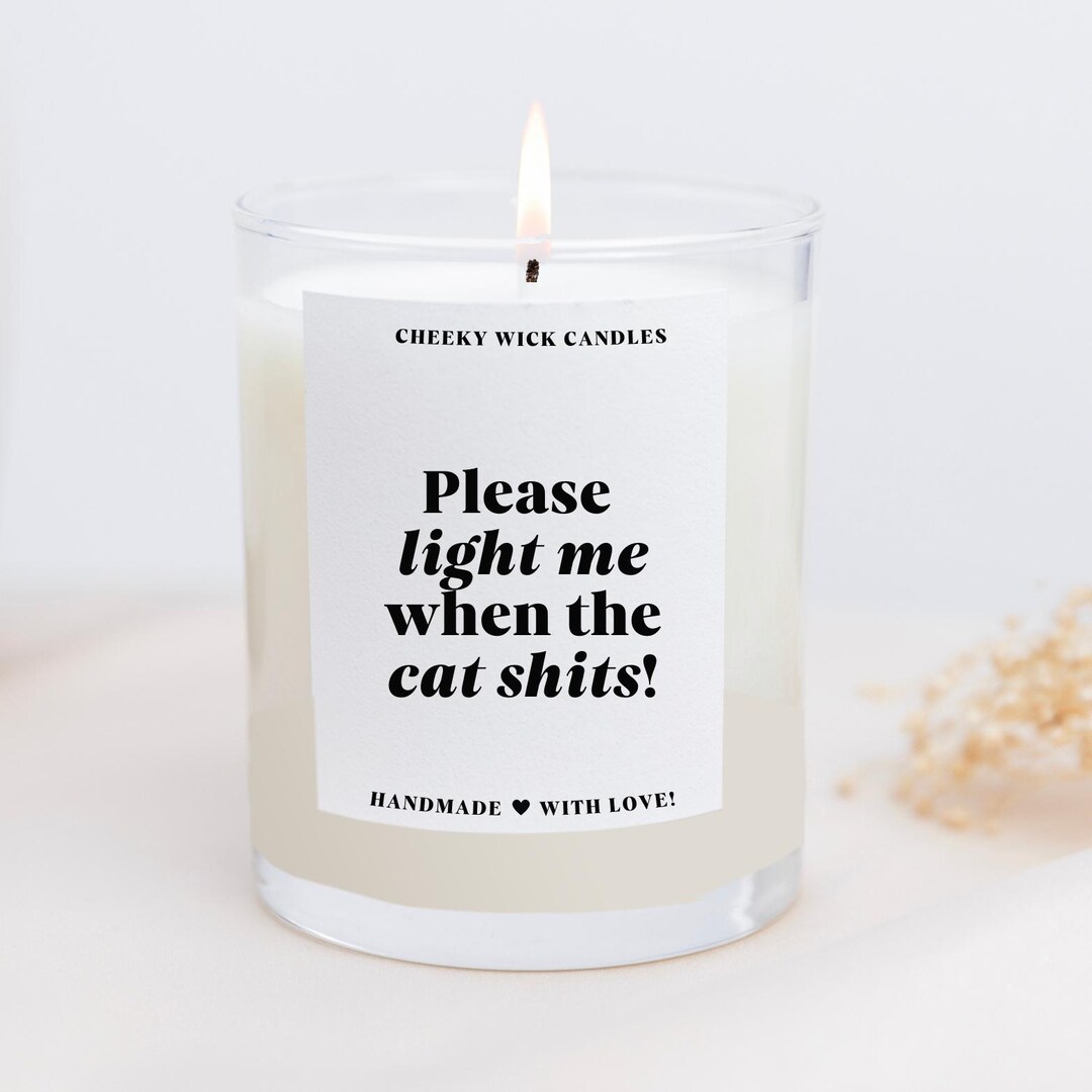 Cat Candle Light When the Cat Shits Funny Candles for a Cat Mum Soy Wax ...