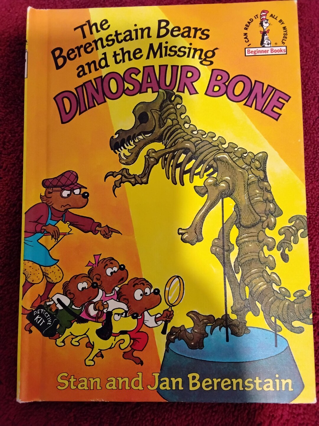 The Berenstain Bears and the Missing Dinosaur Bone - Etsy