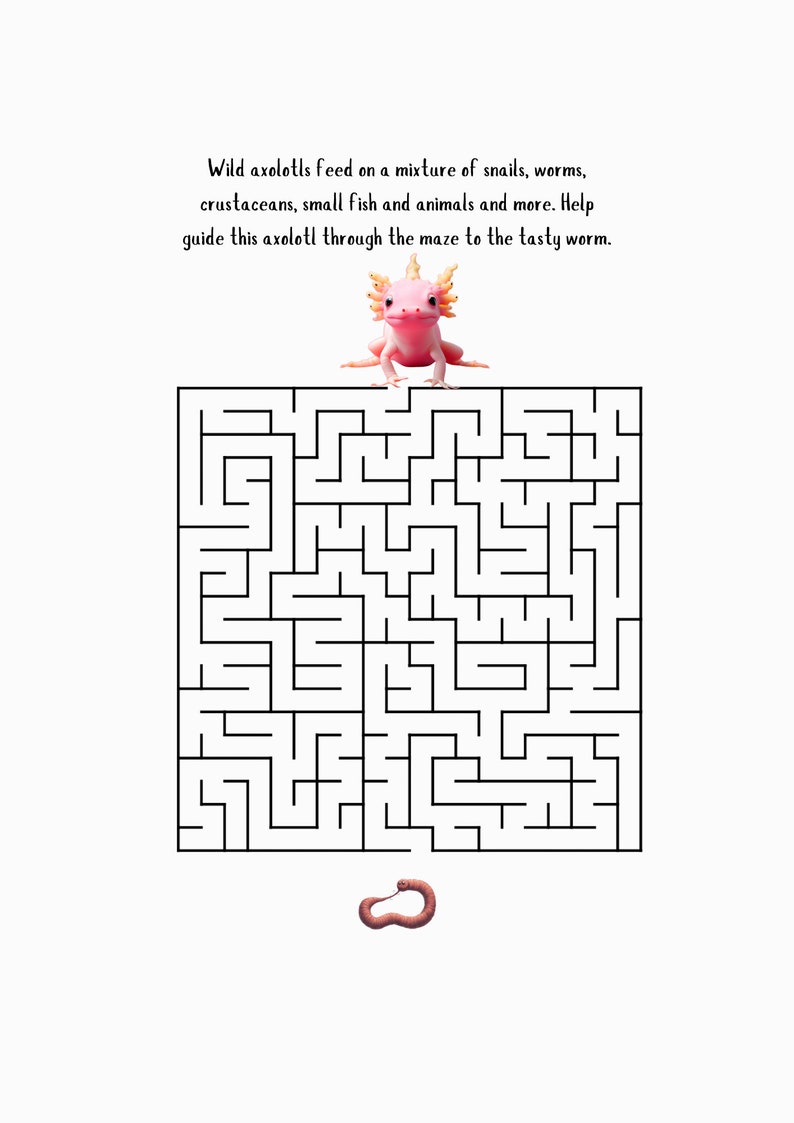 Axolotl Activity Book - Etsy