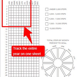 Step Tracker Yearly Letter + A5 Journal Pages Fitness Steps Printable ...