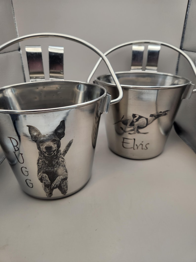 Personalized Dog Crate Photo Bucket 1 Quart Stainless Water Pail Custom ...