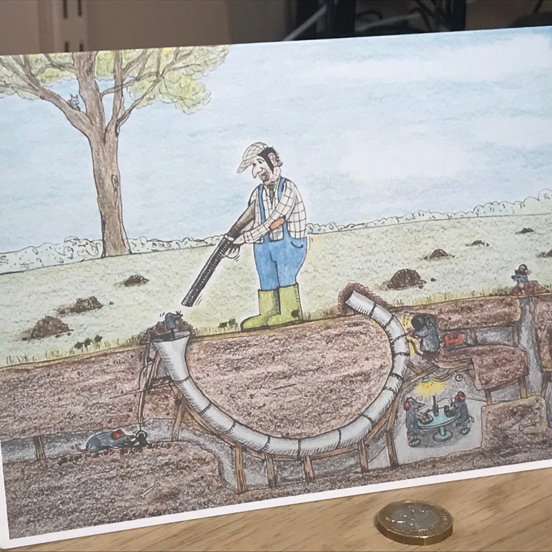 Birthday Mole Card - Etsy