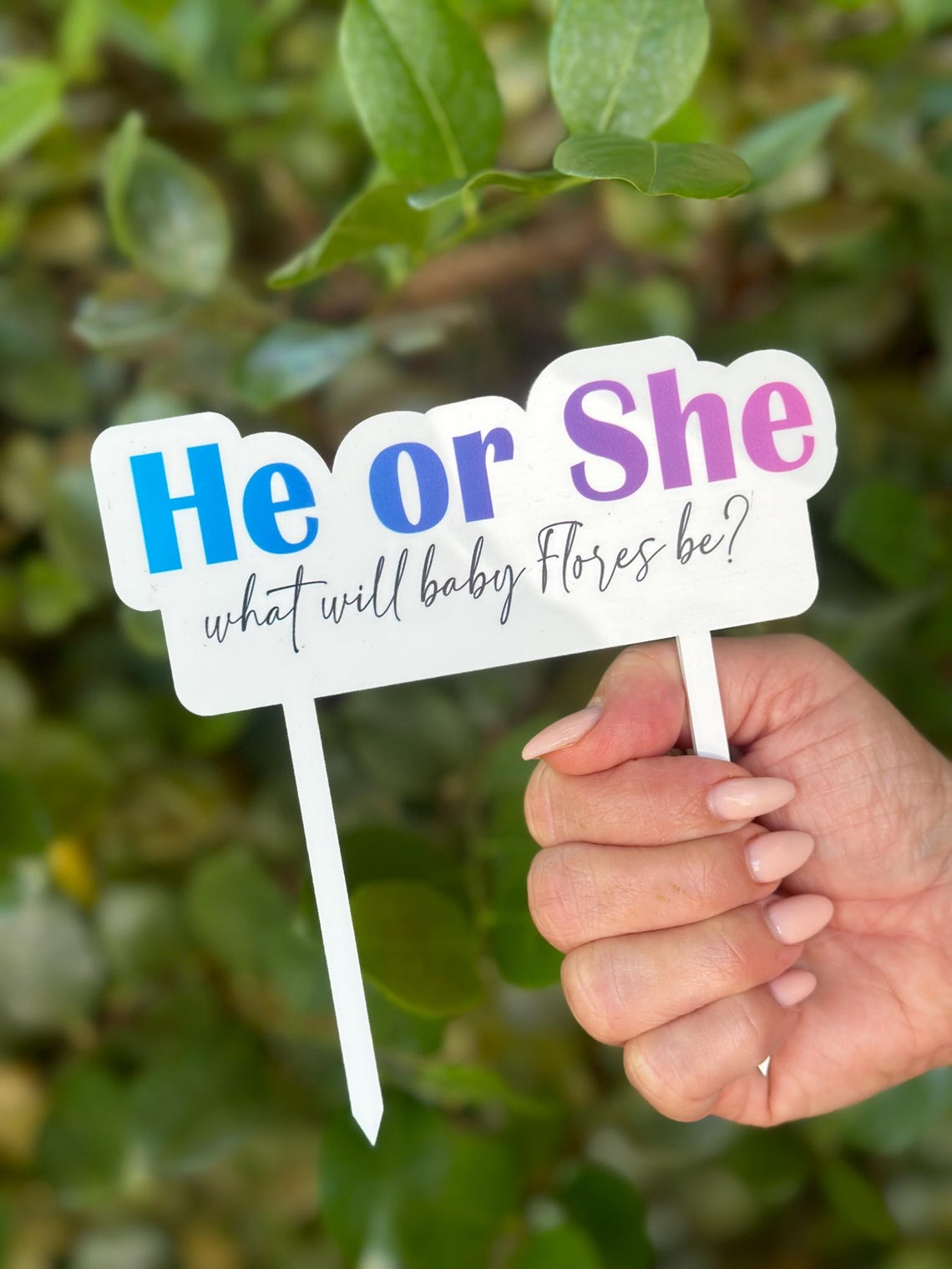 Personalized Gender Reveal Cake Topper, "he or She" Acrylic Topper - Etsy