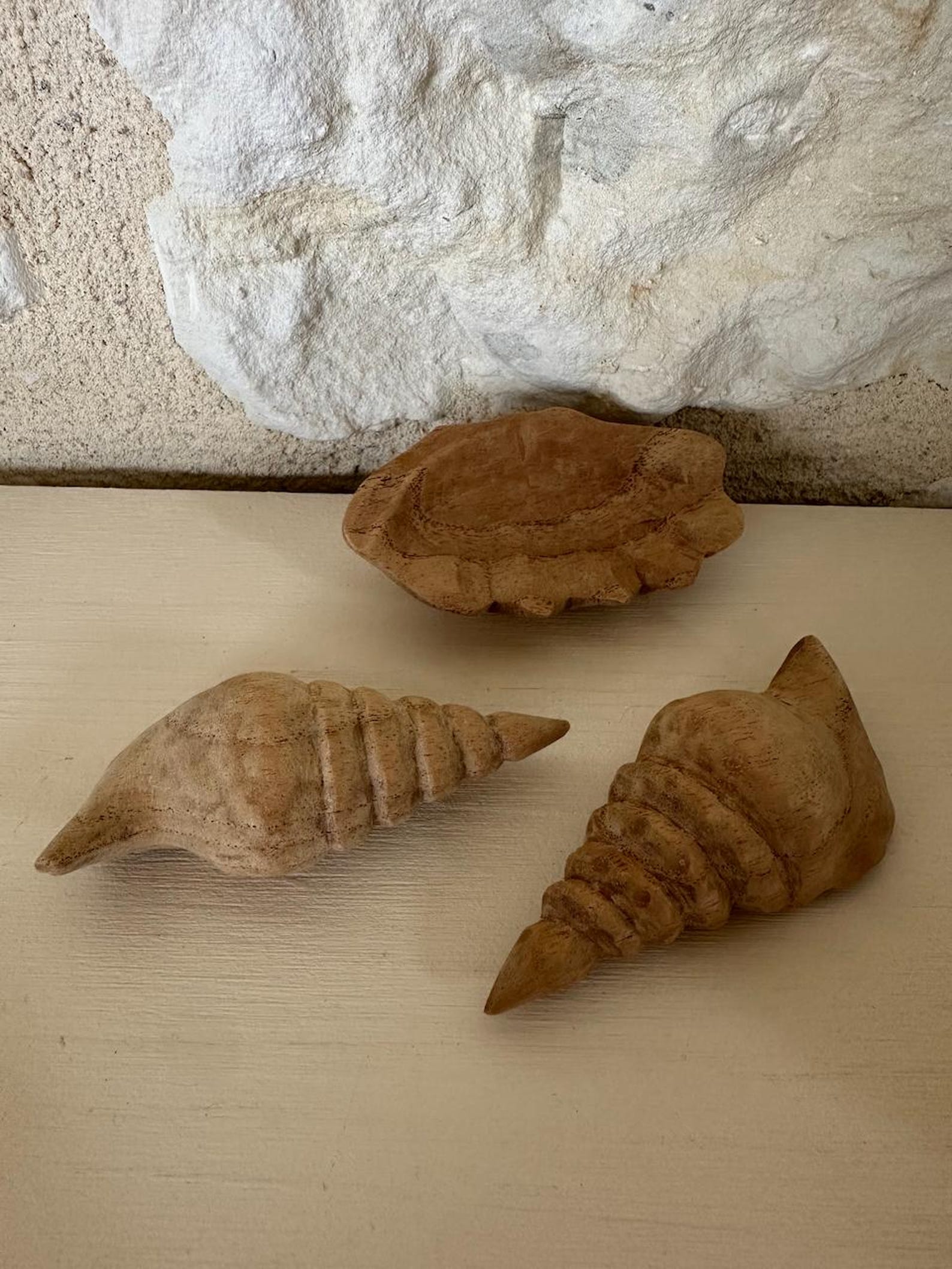 Hand Carved Wooden Sea Shells - Etsy