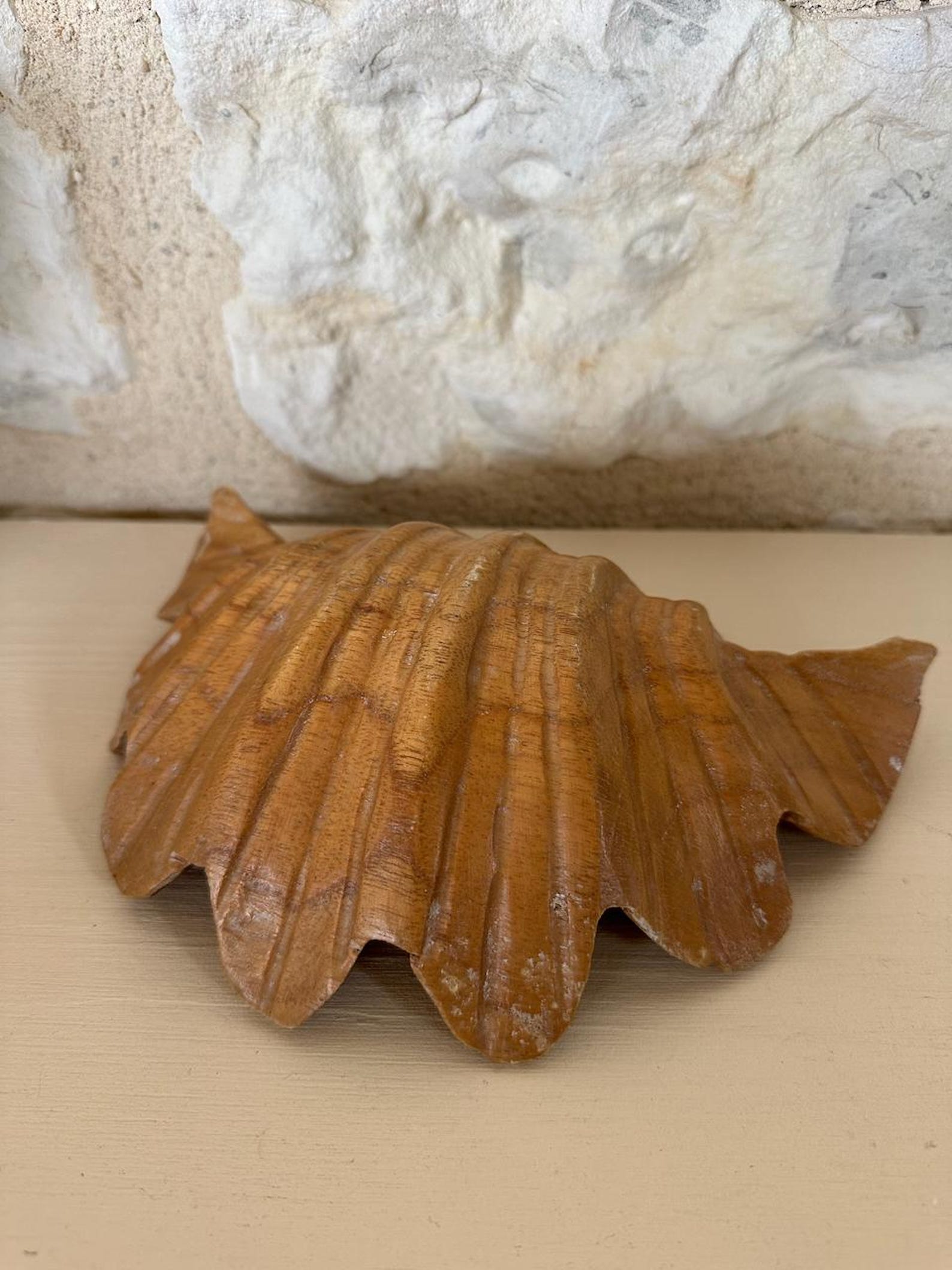 Hand Carved Wooden Sea Shells - Etsy