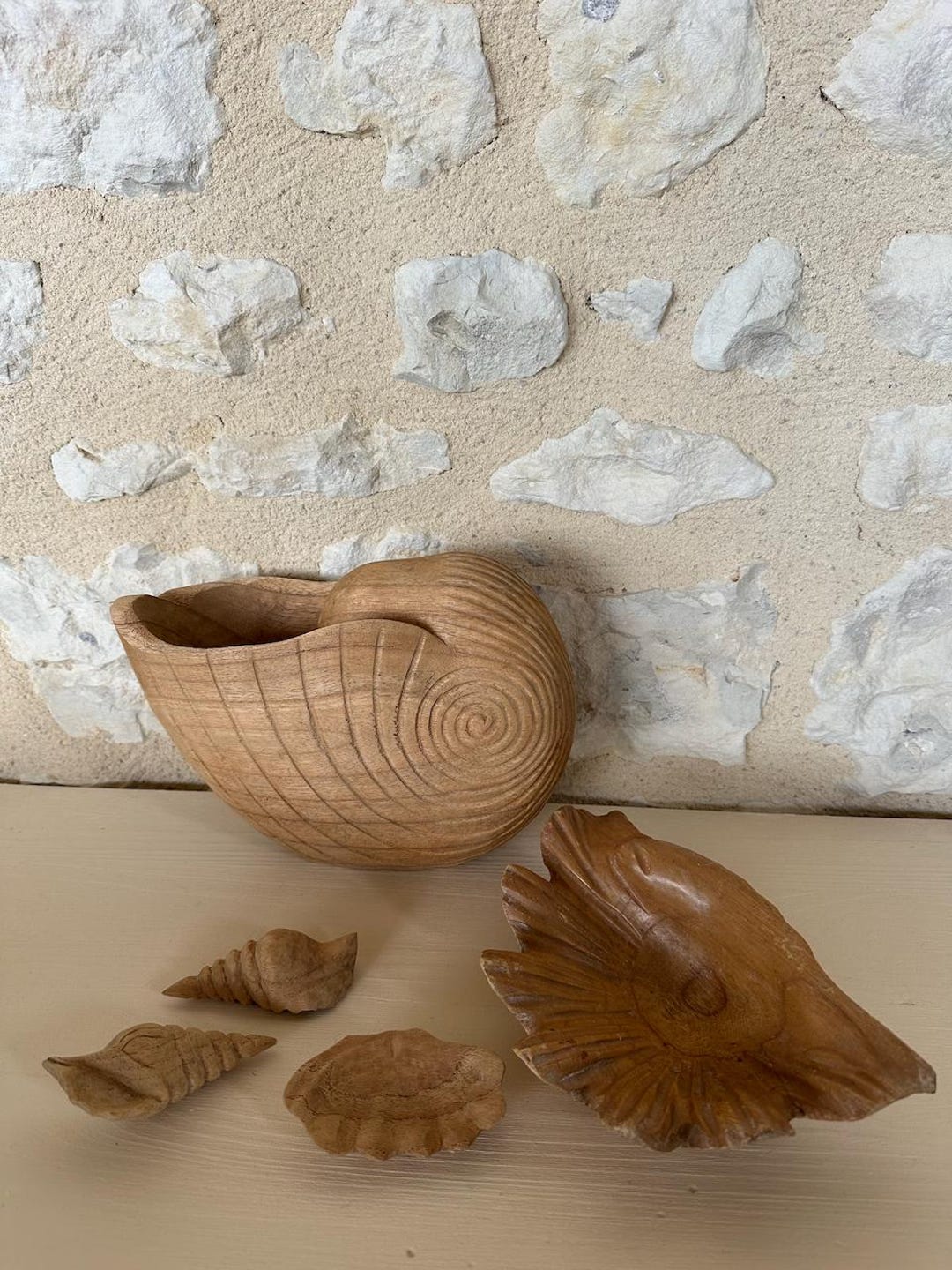 Hand Carved Wooden Sea Shells - Etsy