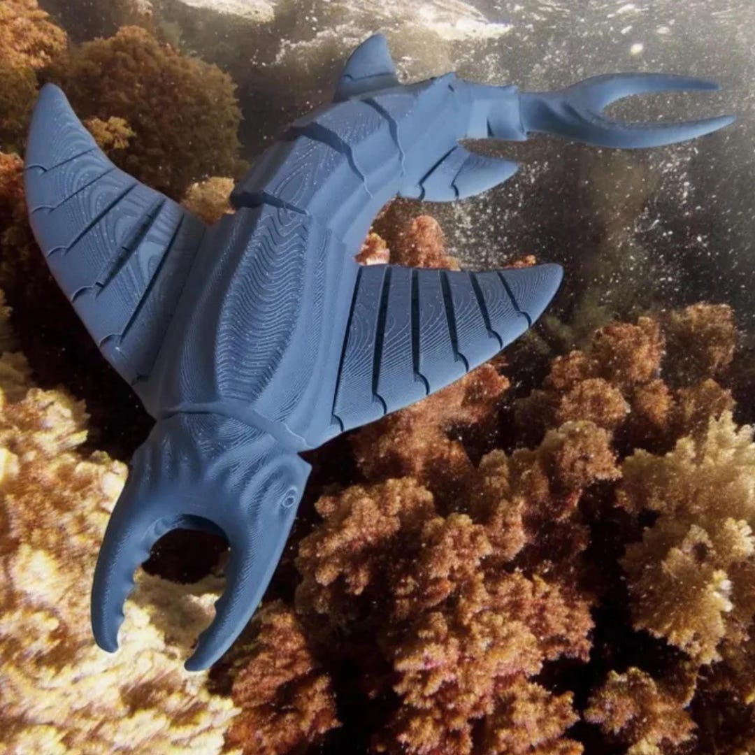 Clamper Ray; the Sea Beast - Bring Ancient Seas to Your Collection - Etsy