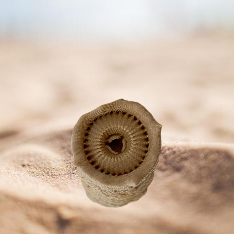 Flexi Sandworm, 3D Printed Sandworm: 12cm Long - Etsy