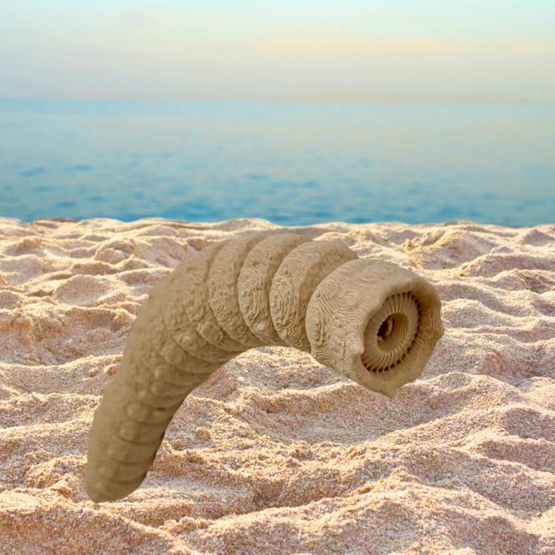 Dune Flexi Sandworm, 3D Printed Sandworm: 12cm Long - Etsy UK