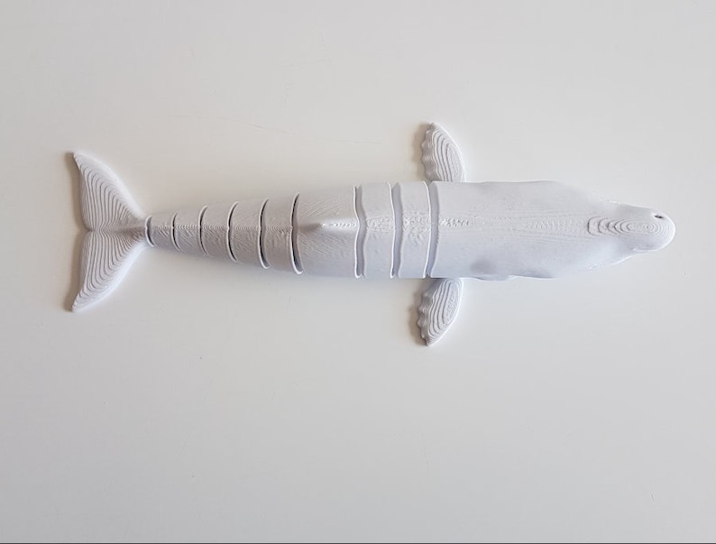 Moby Dick Flexible Toy, Fidget Toy, White Whale, Classic Sea Monster - Etsy