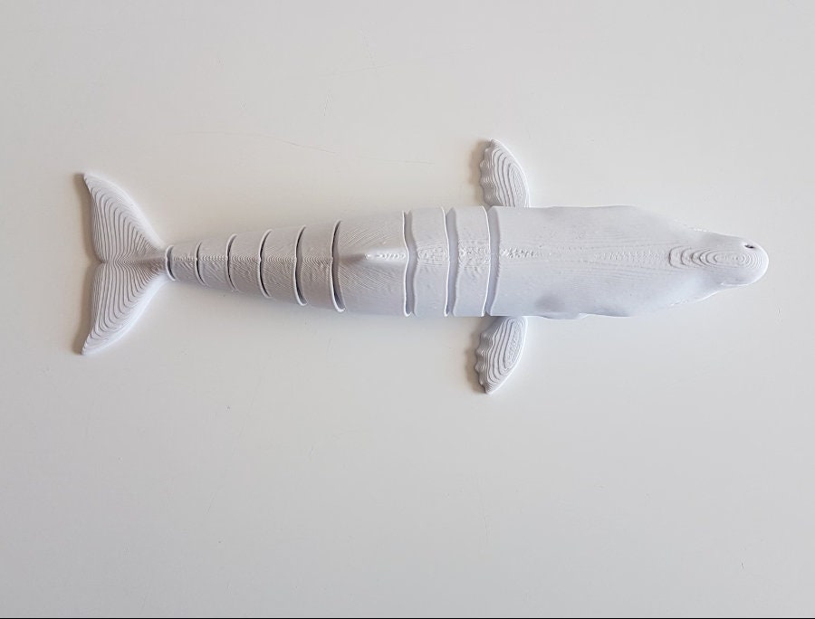 Moby Dick Flexible Toy, Fidget Toy, White Whale, Classic Sea Monster - Etsy