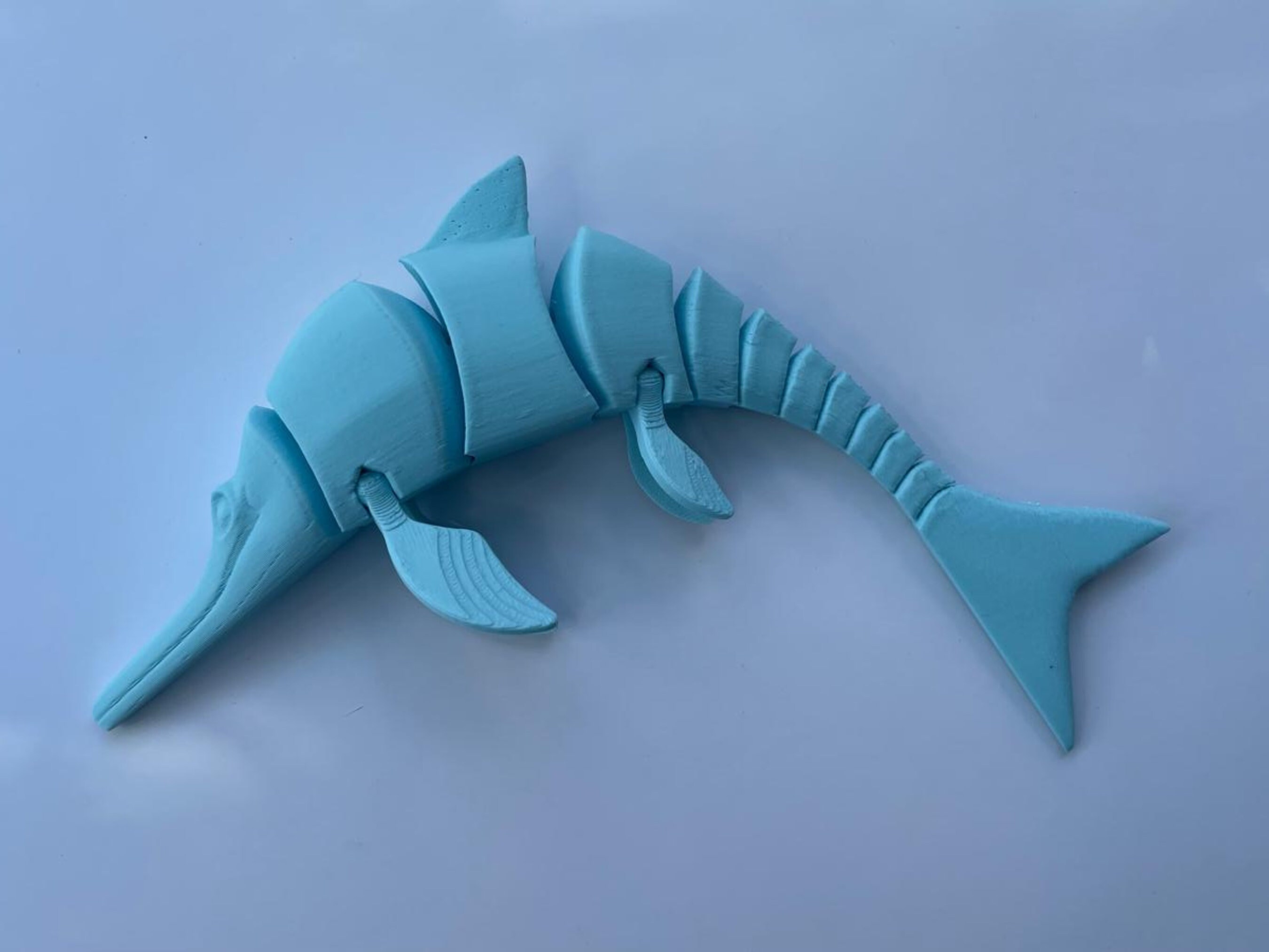 Oceanic Wonders: Ichthyosaur Fidget Toy - Etsy