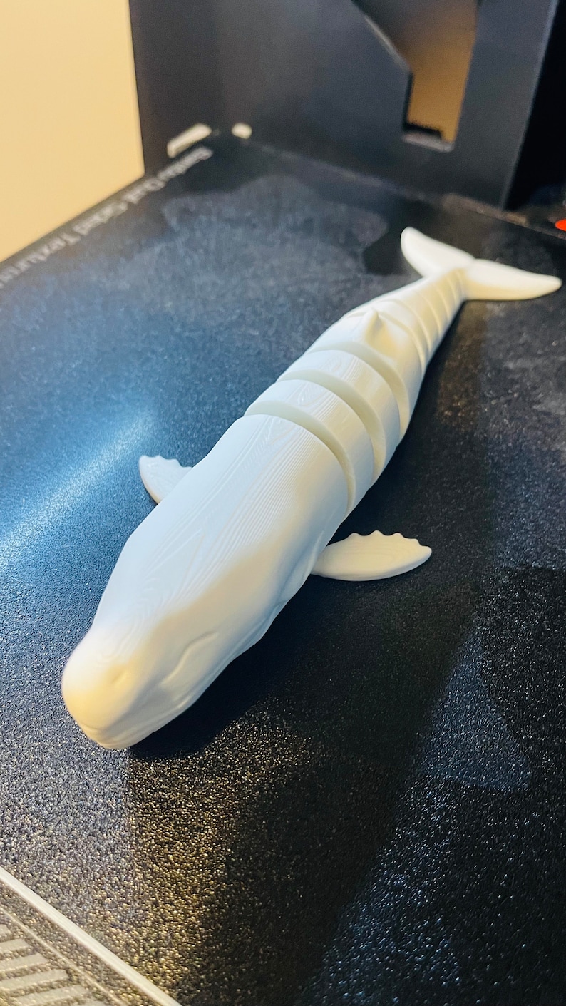Moby Dick Flexible Toy, Fidget Toy, White Whale, Classic Sea Monster - Etsy
