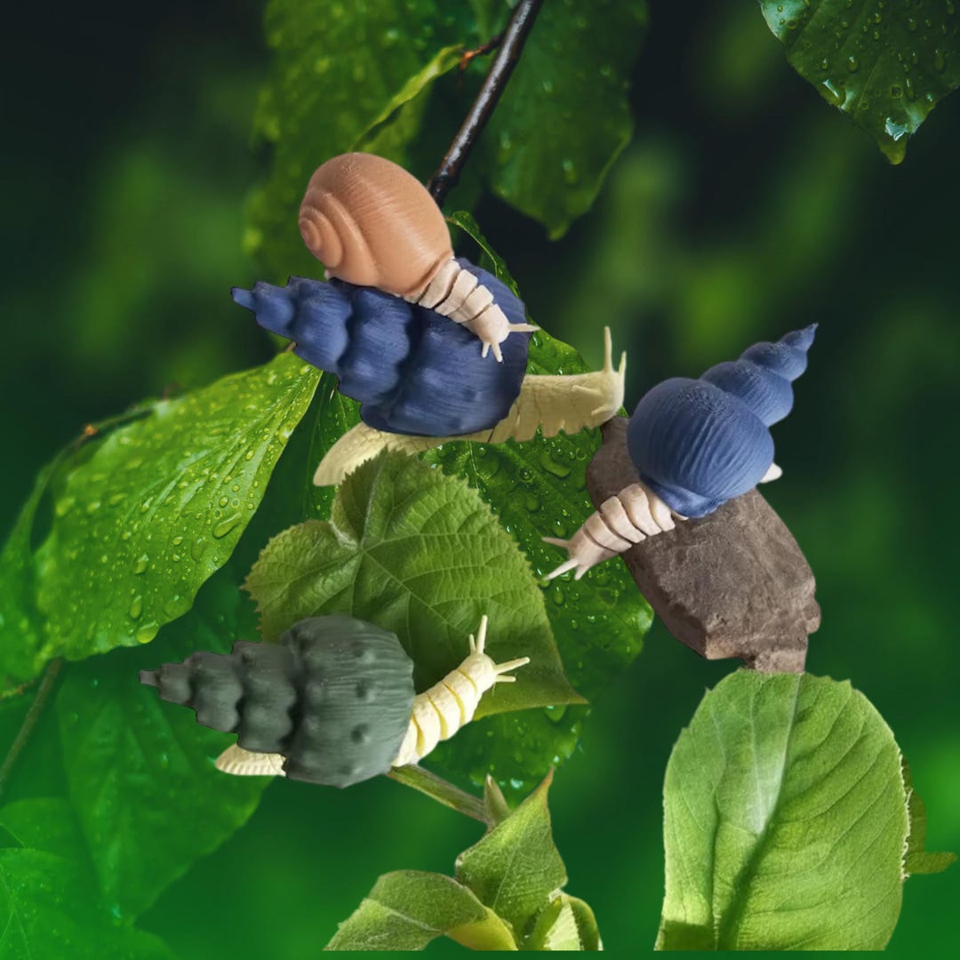 3D Printed Snail Set: Big & Small Flexi Snails - Etsy