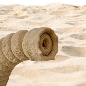 Dune Flexi Sandworm, 3D Printed Sandworm: 12cm Long - Etsy UK