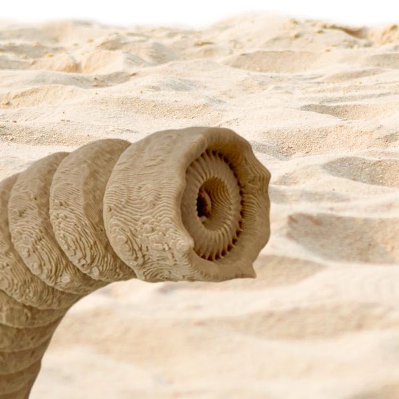 Flexi Sandworm, 3D Printed Sandworm: 12cm Long - Etsy