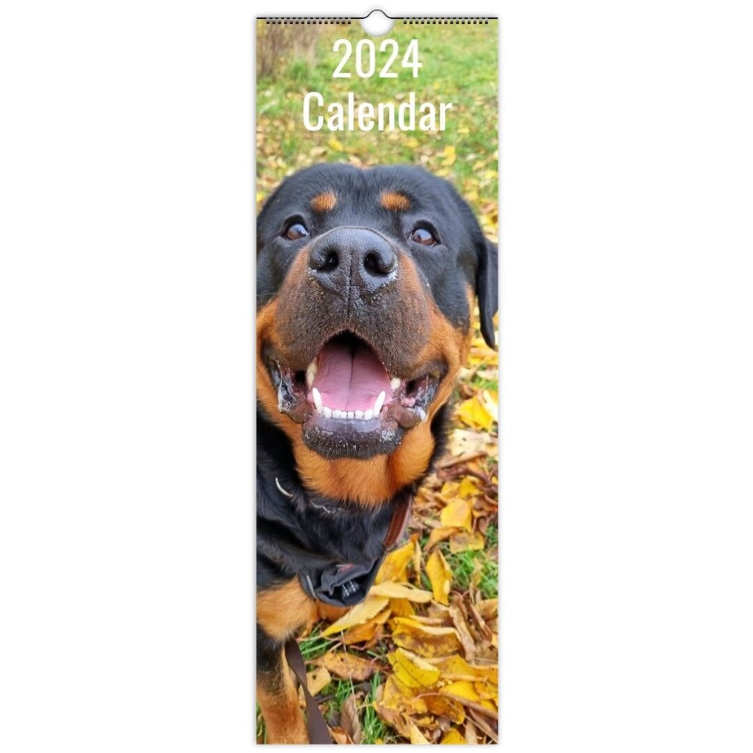 2024 Rottweiler Calendar Slim Vertical 5.5x16.5 USA & - Etsy