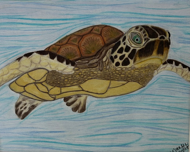 Sea Turtle Colored Pencil Drawing Fine Art Print, Beach Decor, Nautical ...