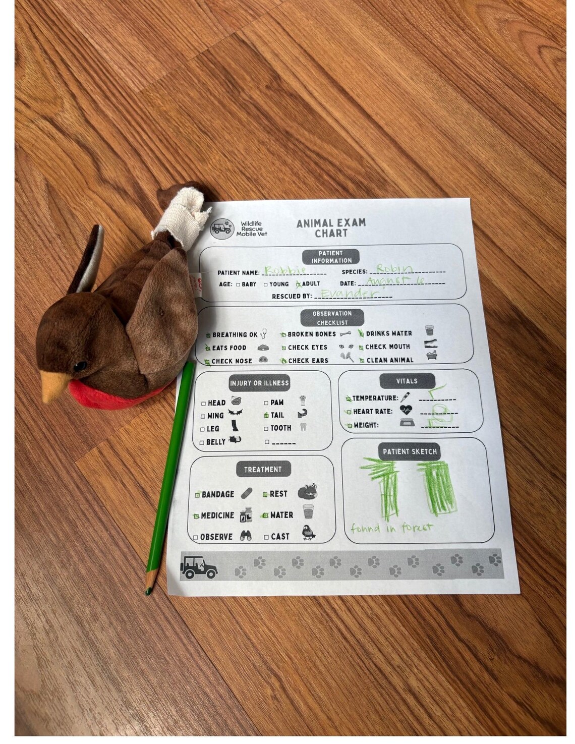 Printable Vet Exam Chart: Wildlife Rescue Doctor Pretend Play (PDF ...