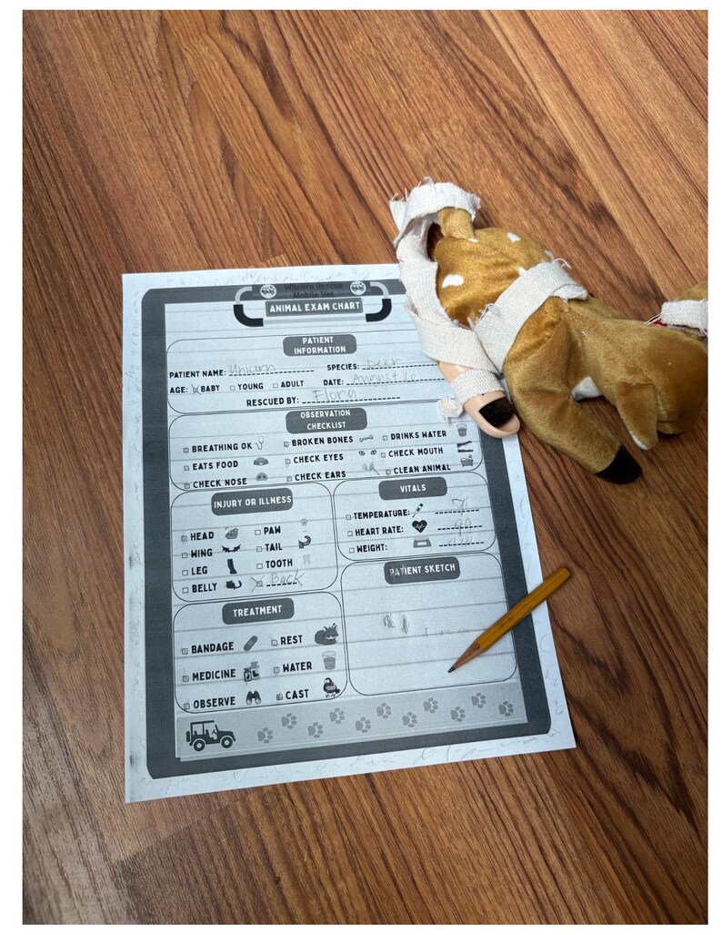 Printable Vet Exam Chart: Wildlife Rescue Doctor Pretend Play (PDF ...