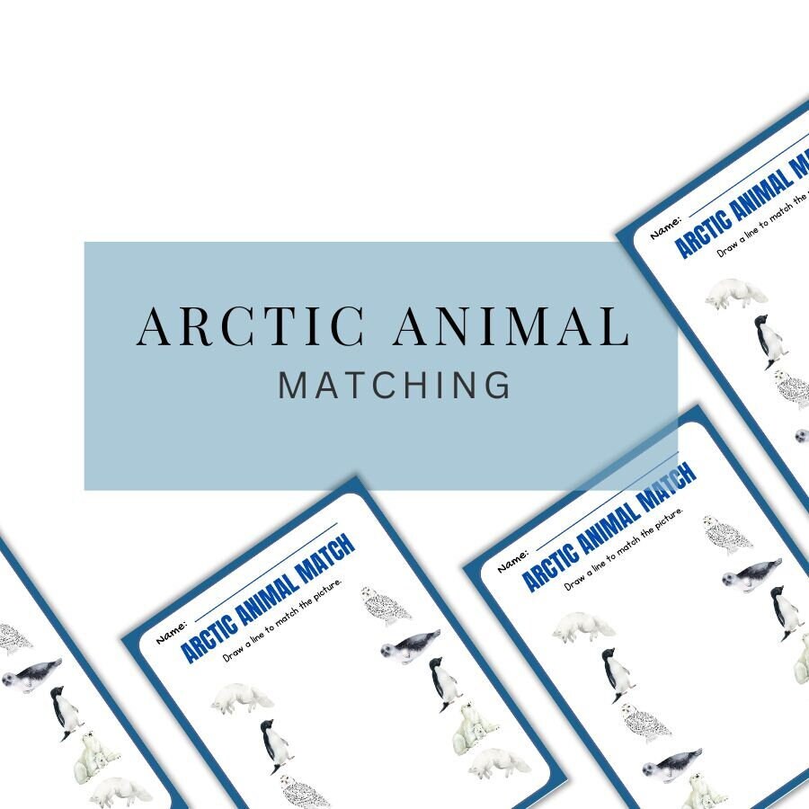 Arctic Animal Matching Printable Activity for Toddlers - Etsy