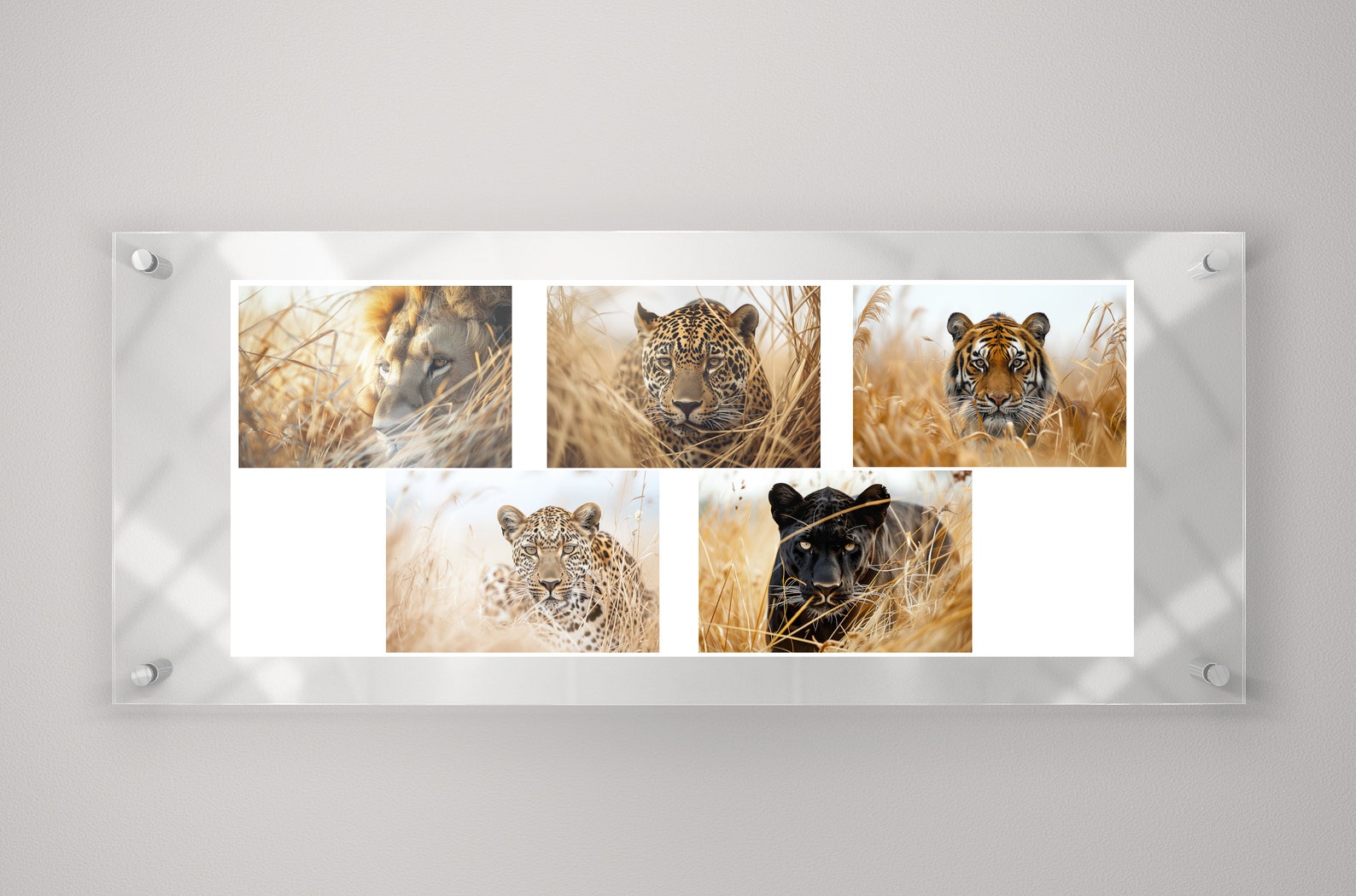 Stalking Cat Art, Big Cat Wall Art, Leopard, Lion, Tiger, Panther ...