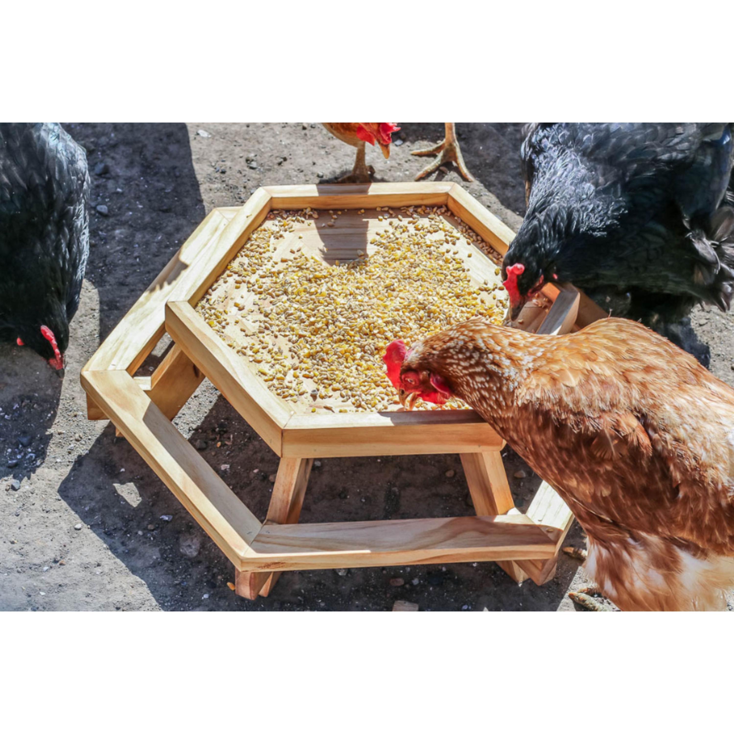 DIY Chicken Feeder Plan, Octagon Wood Poultry Feeder Blueprint, Digital ...