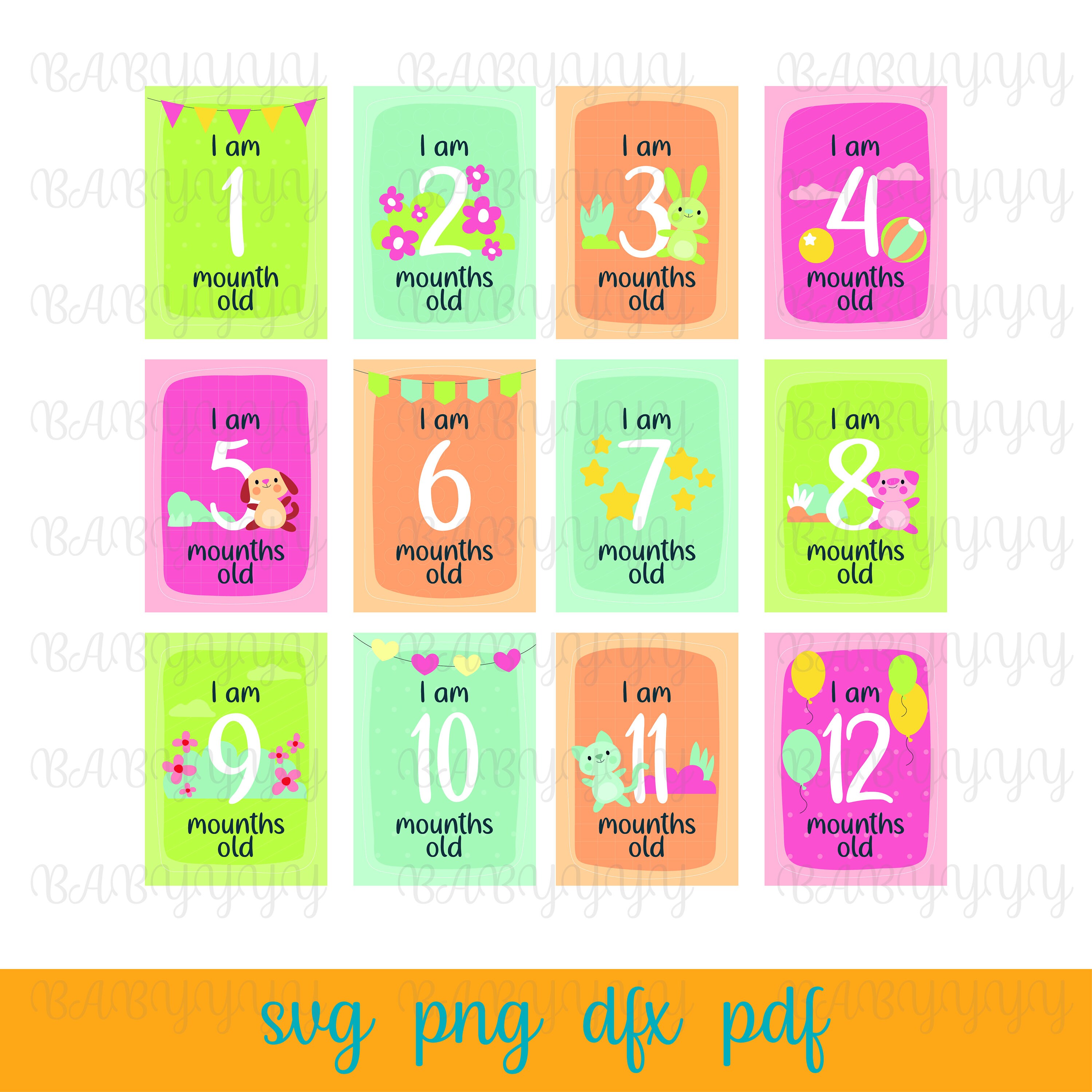 Baby Monthly Milestone Svg Bundle , Baby Monthly Milestone Rounds SVG ...