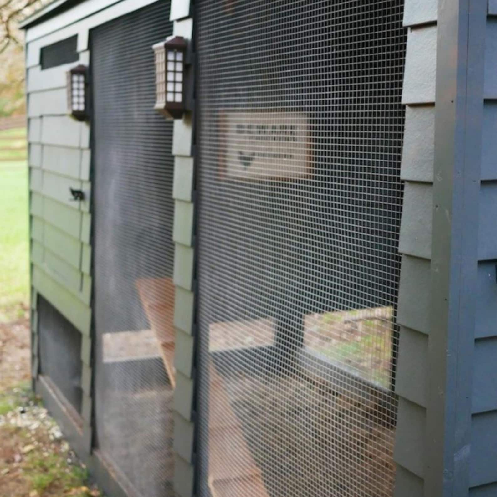 Large Walk-in Chicken Coop Plan – DIY Poultry House PDF - Etsy