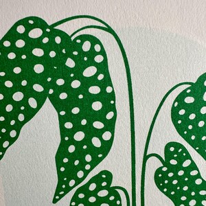 Monstera Risograph Illustration Print, 8x10, Swiss Cheese Plant Riso ...