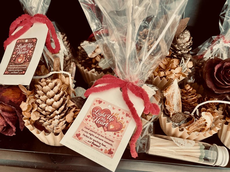 Winter Evening Scented Fire Starters • Organic Soy Wax Pinecone ...