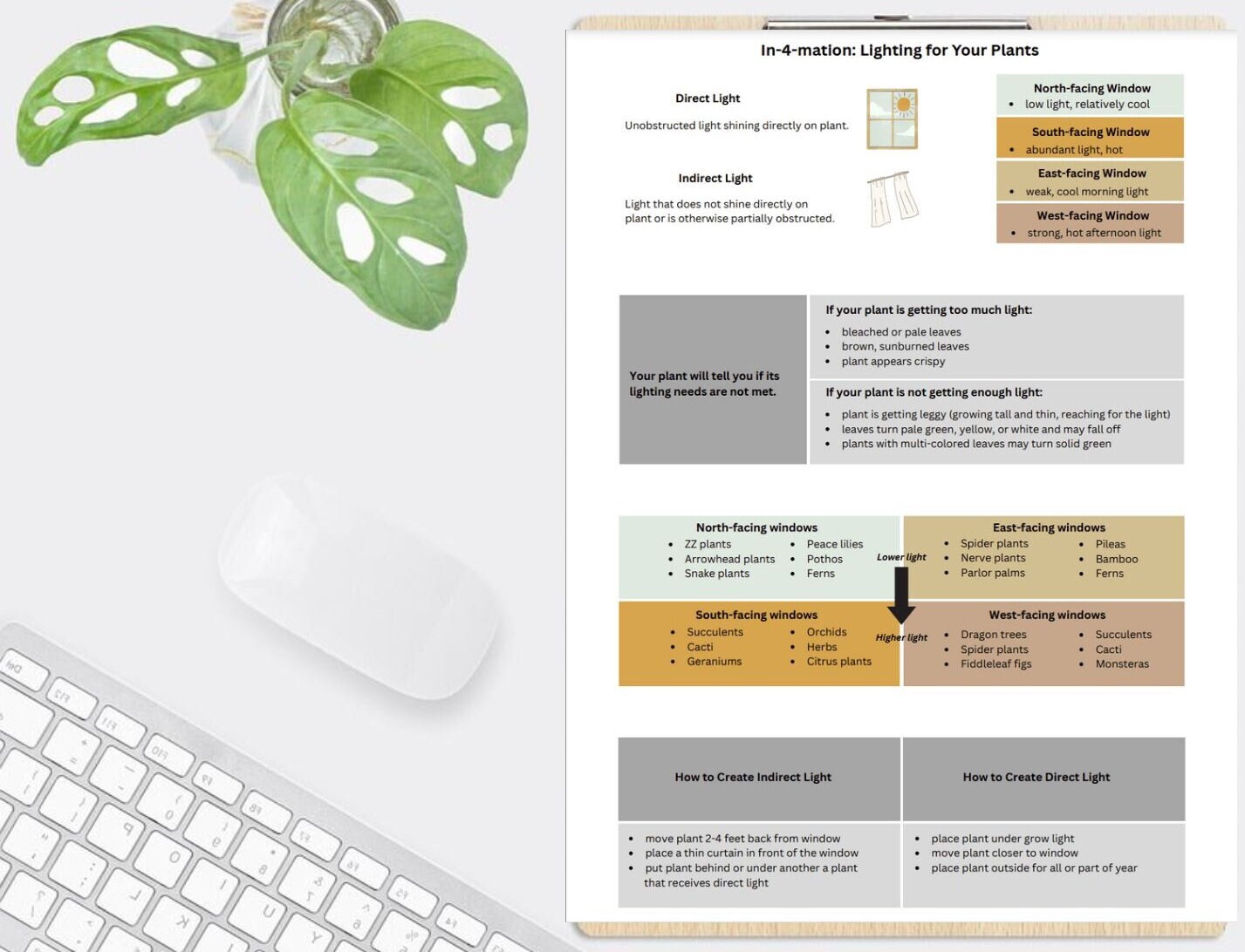 Plant Lighting Guide Printable Plant Lighting Chart Plant Care Guide ...