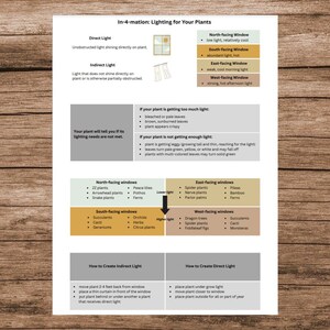 Plant Lighting Guide - Printable Plant Lighting Chart - Plant Care ...
