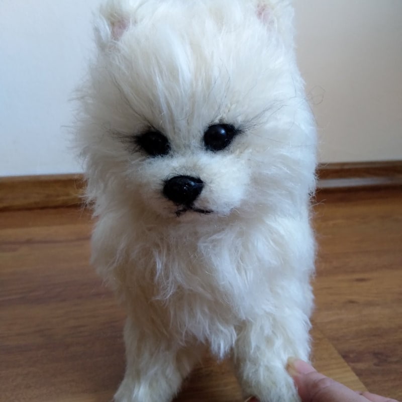 Pomeranian Plush - Etsy